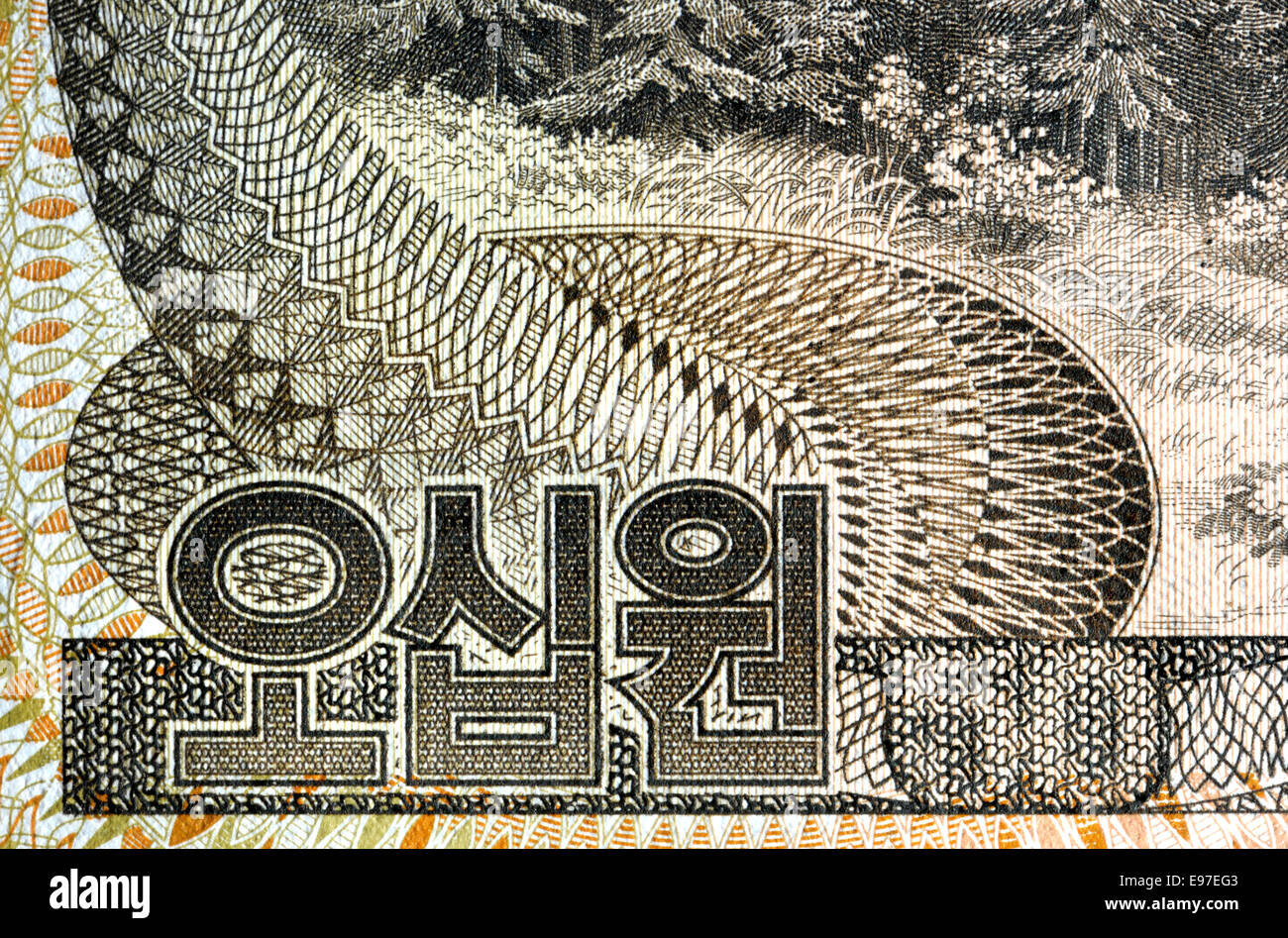 Detail from a North Korean banknote showing intricate anti-forgery ...