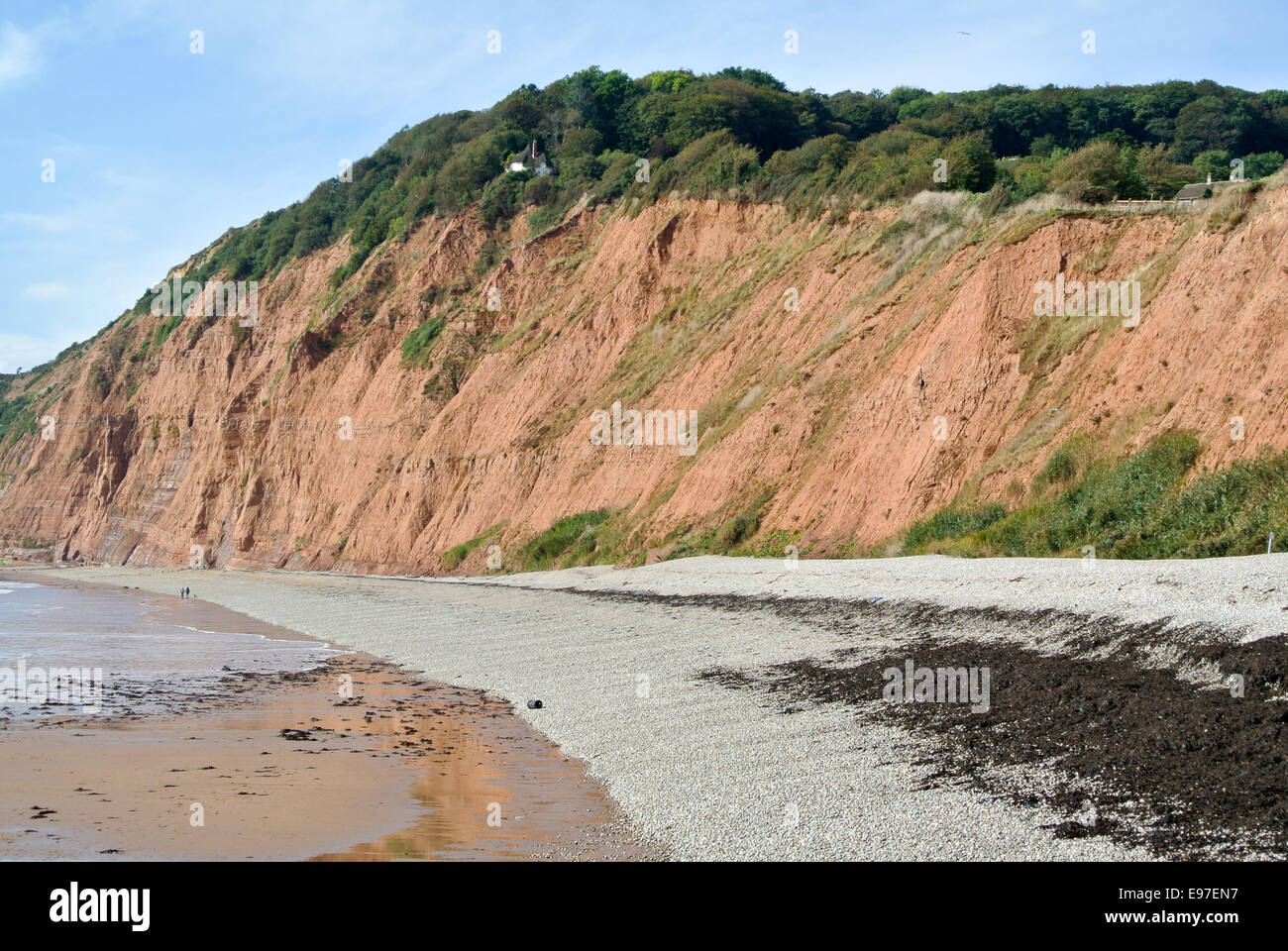 Red sandstone cliffs at Sidmouth,Devon Stock Photo - Alamy