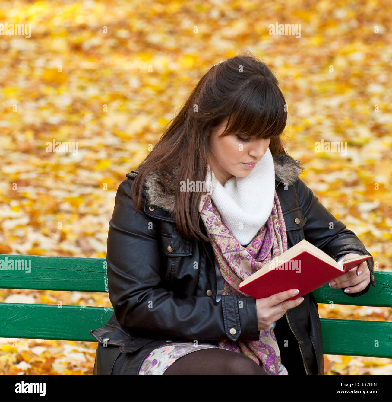 Woman reads book hi-res stock photography and images - Alamy