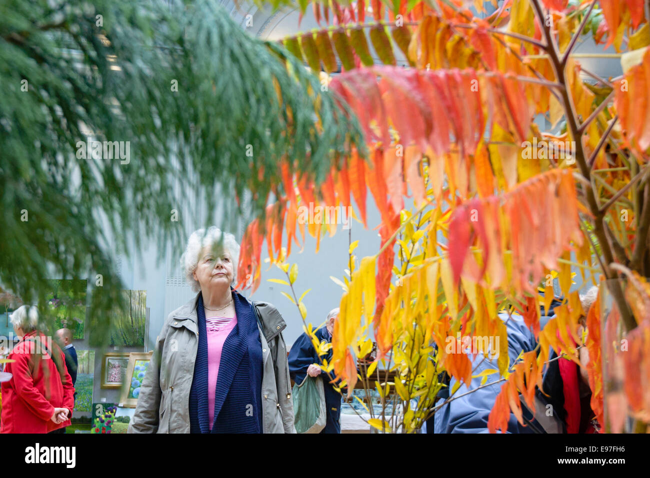 London, UK. 21st October, 2014. RHS London Shades of Autumn Show ...