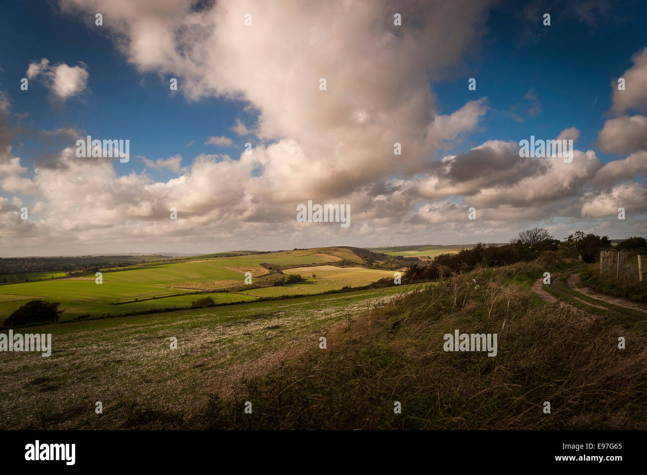 The South Downs near Long Furlong, Worthing, West Sussex, UK Stock ...