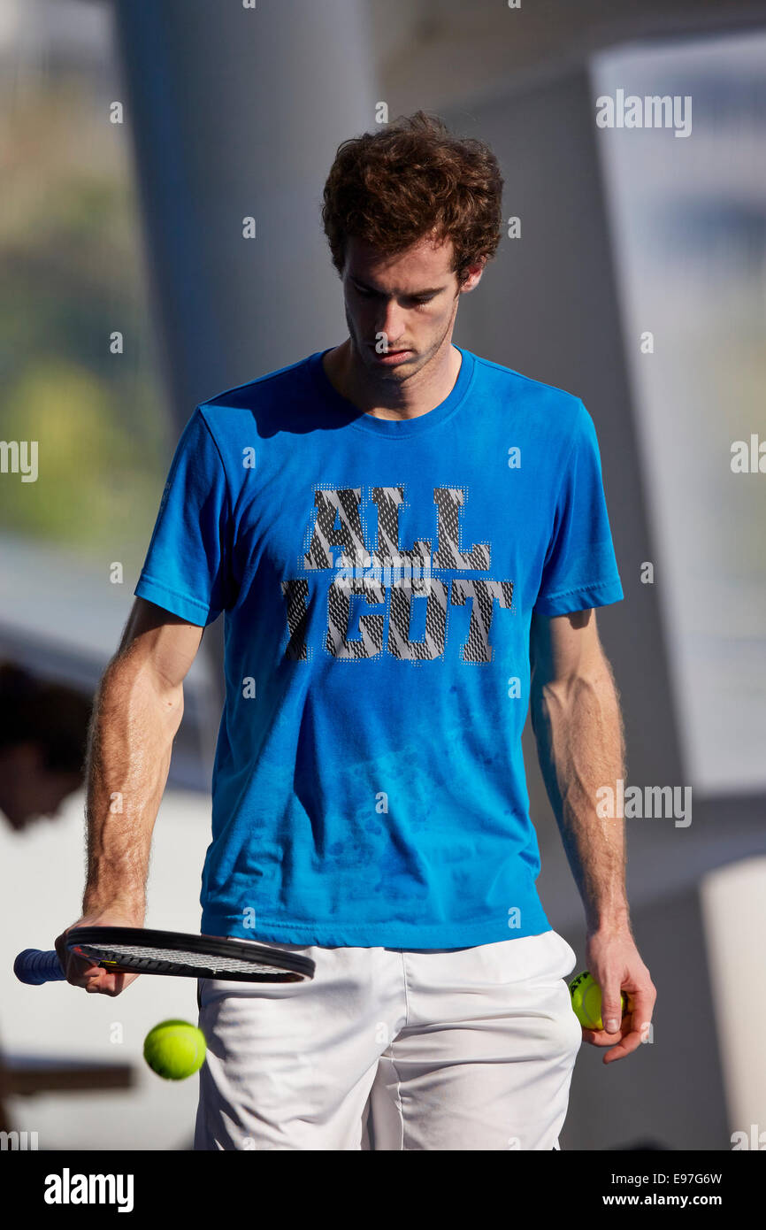 Valencia open 500 atp hi-res stock photography and images - Alamy