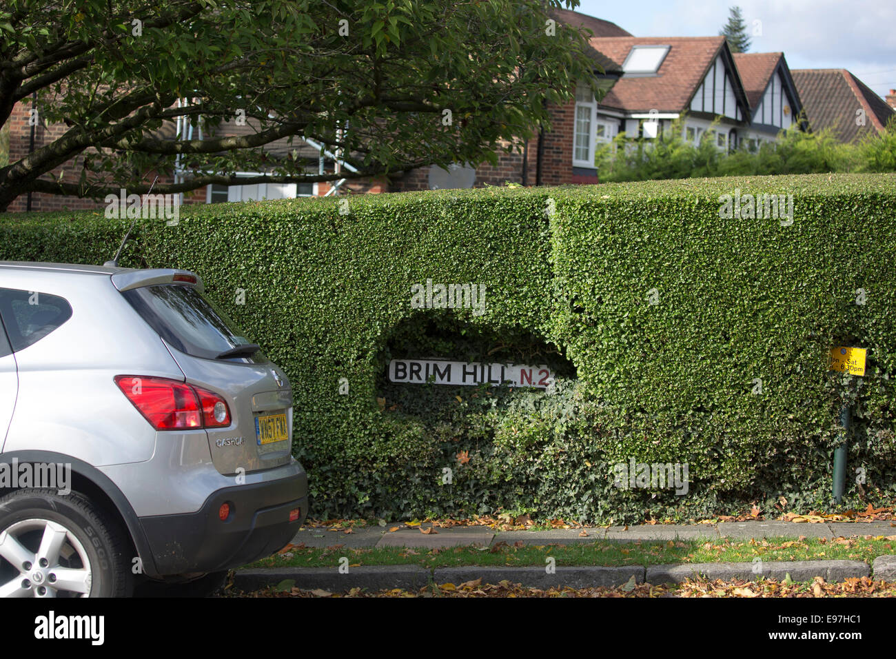Hedge grown around road sign street name topiary Stock Photo - Alamy
