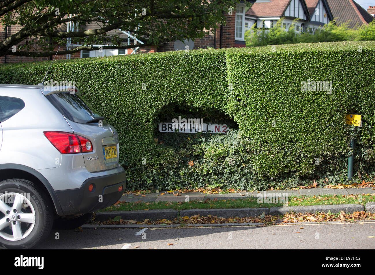 Hedge grown around road sign street name topiary Stock Photo - Alamy