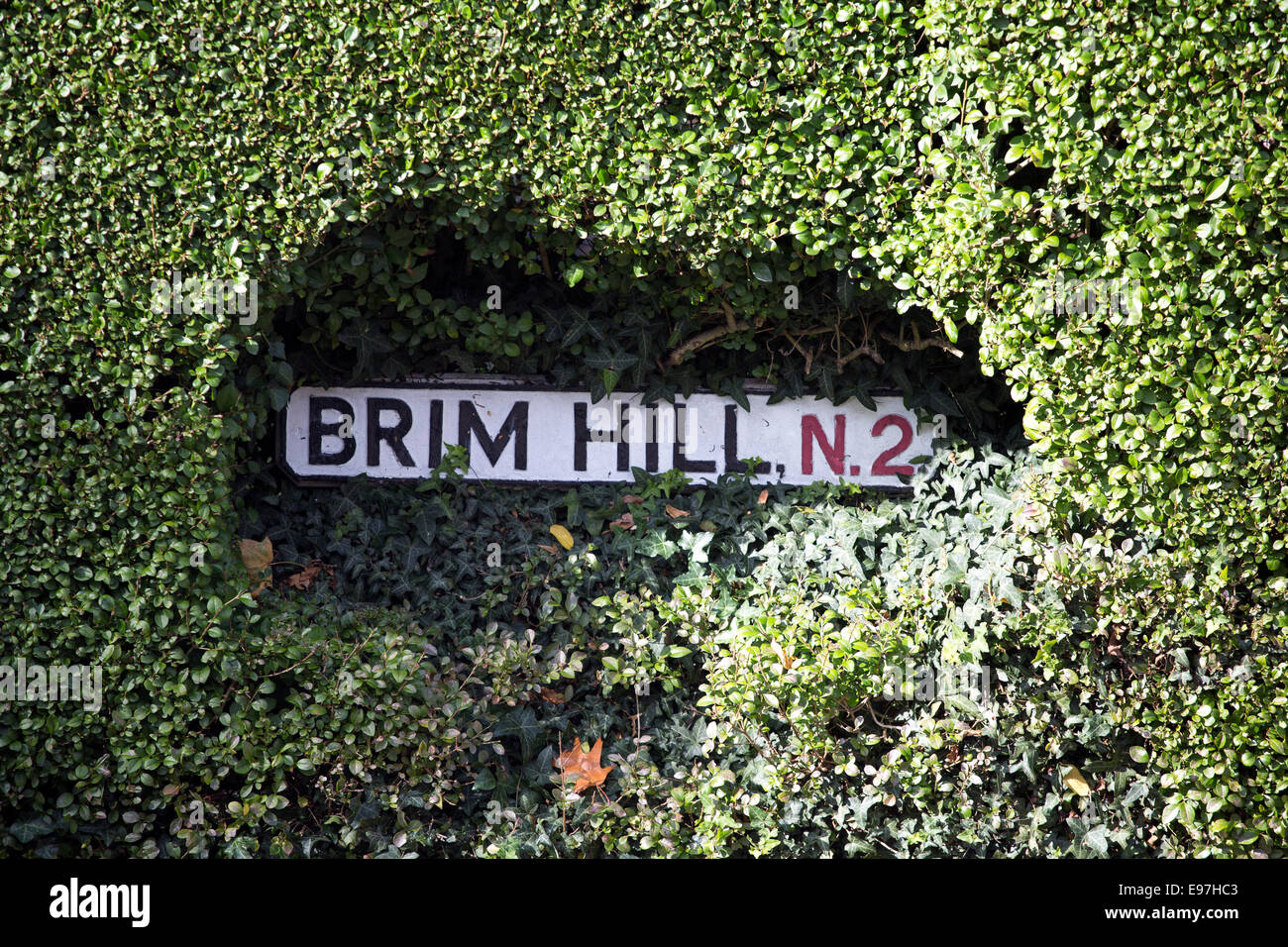 Hedge grown around road sign street name topiary Stock Photo - Alamy