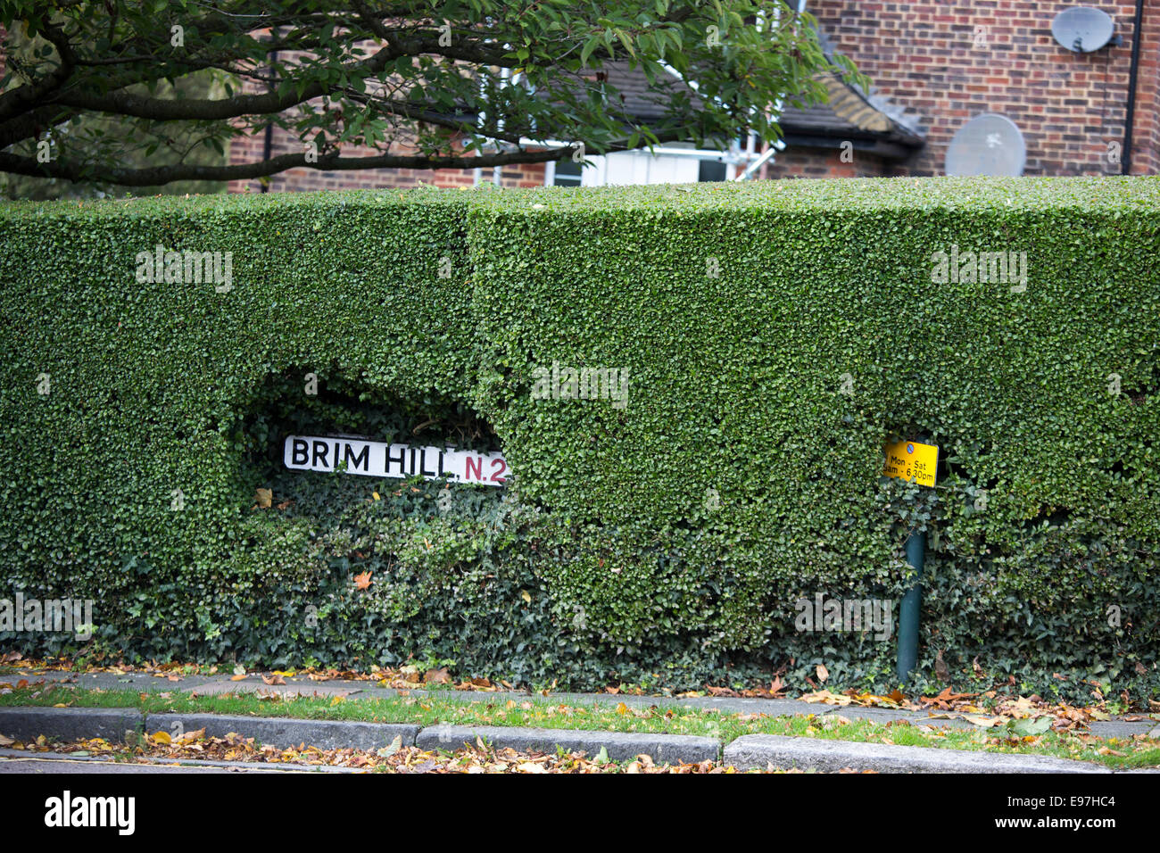 Hedge grown around road sign street name topiary Stock Photo - Alamy