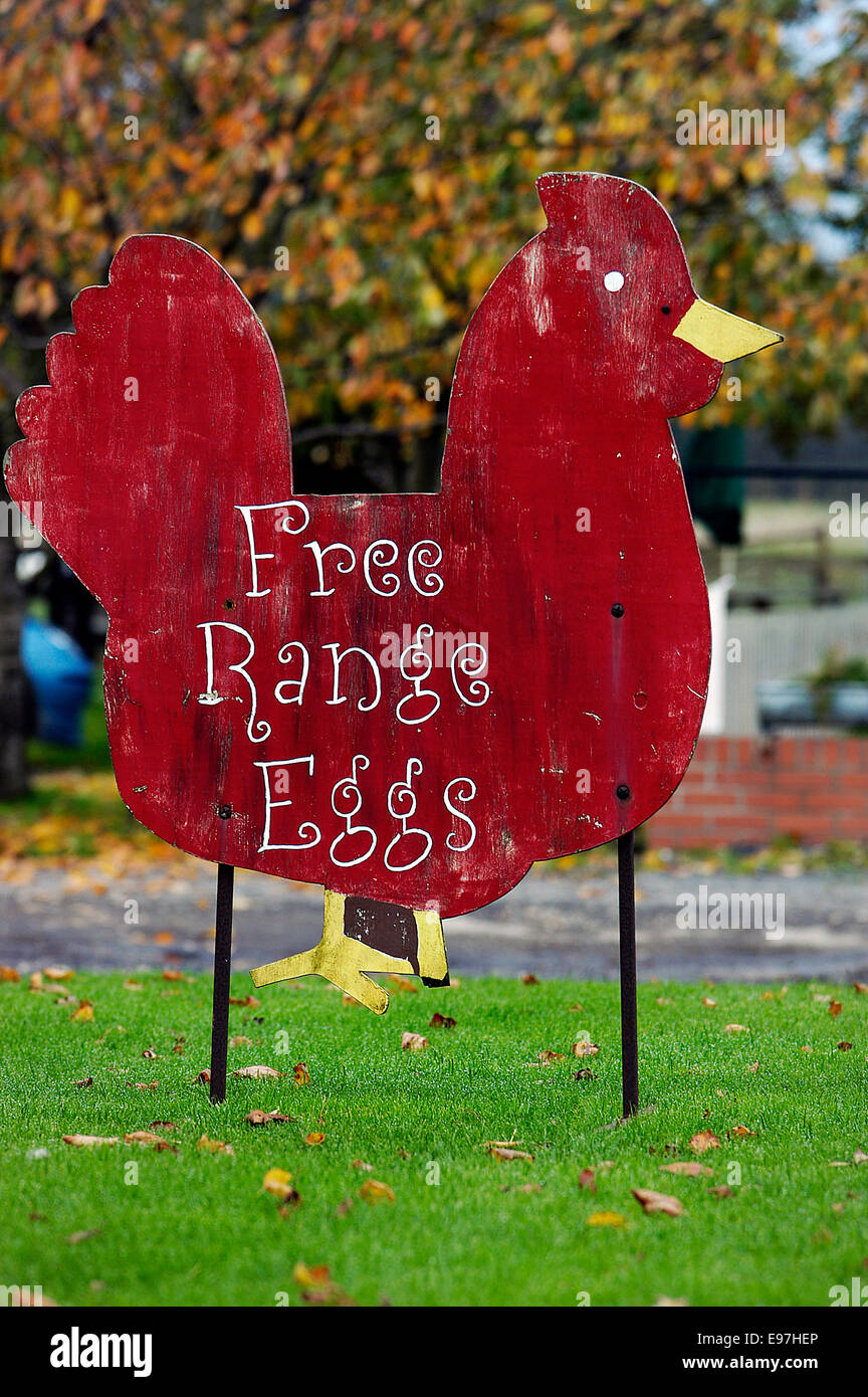 Free range eggs sign shaped as an hen Stock Photo - Alamy