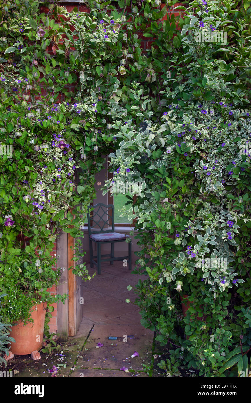 garden room entrance overgrown by climbing plants October Stock Photo ...