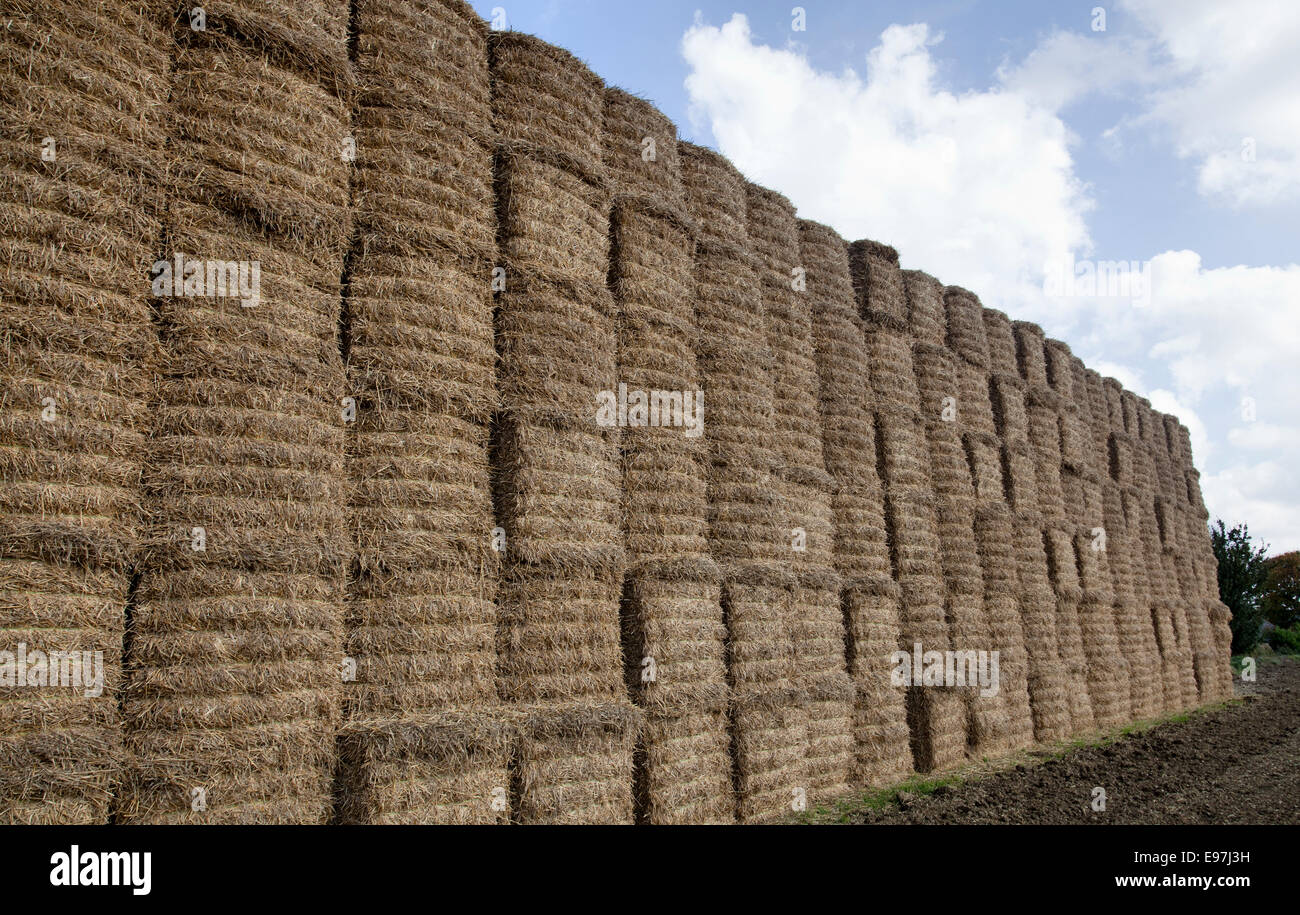 Stacking hay bales hi-res stock photography and images - Alamy