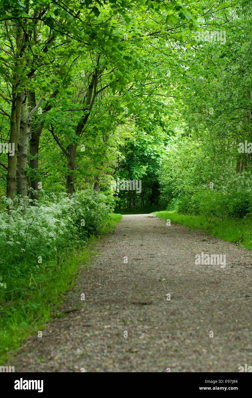Five pits trail derbyshire hi-res stock photography and images - Alamy