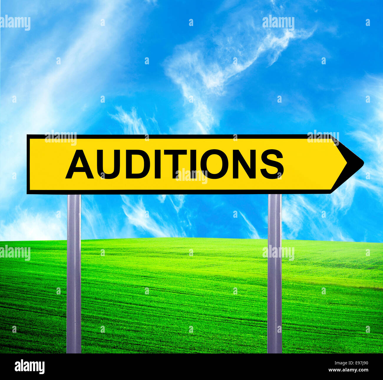 Conceptual arrow sign against beautiful landscape with text - AUDITIONS ...