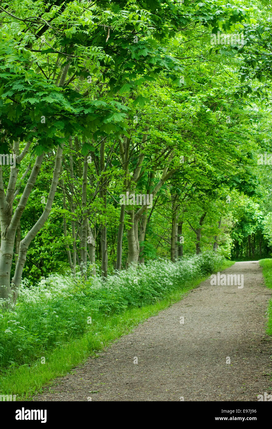 Five pits trail hi-res stock photography and images - Alamy