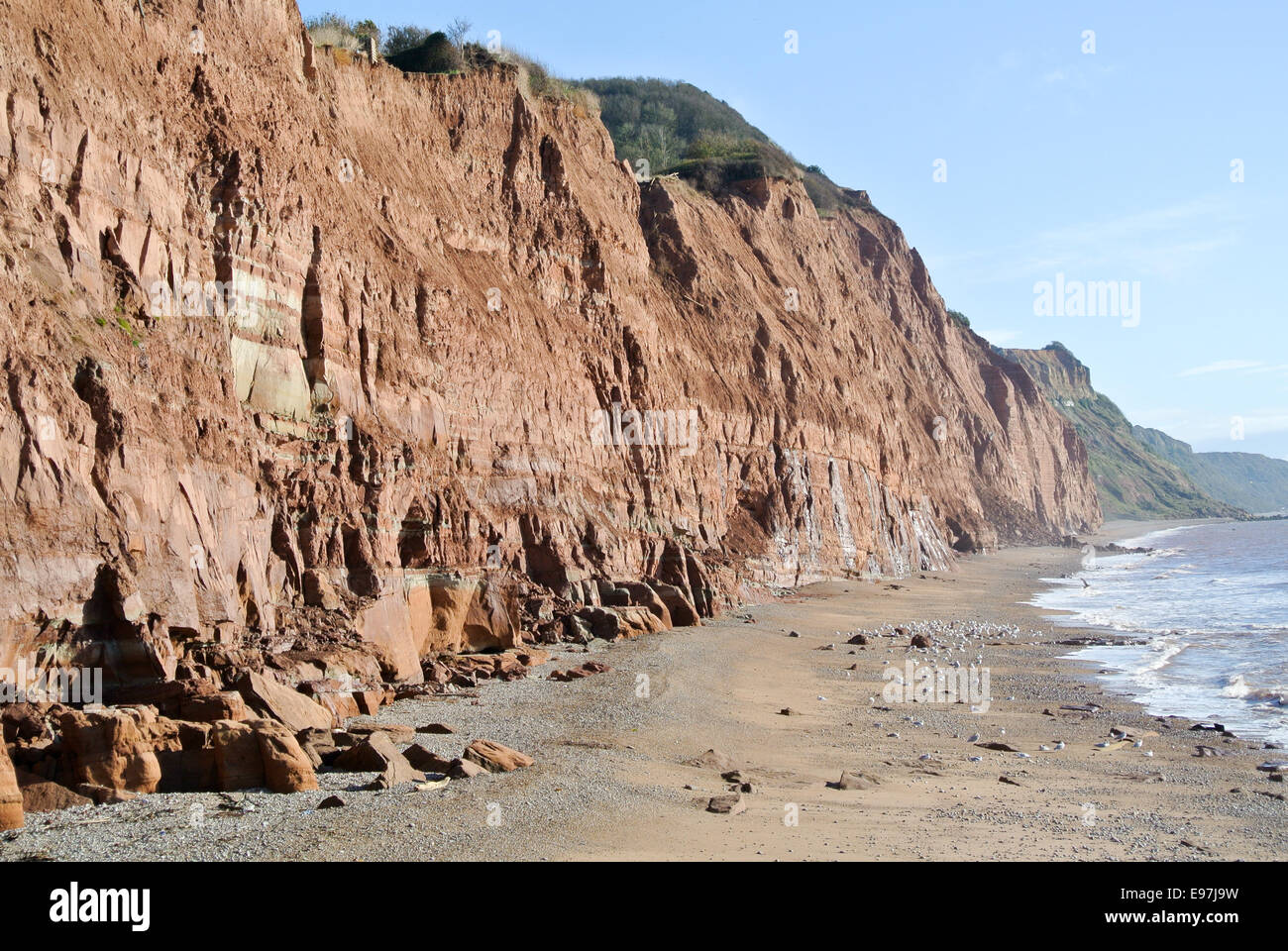 Red sandstone cliffs at Sidmouth,Devon Stock Photo - Alamy