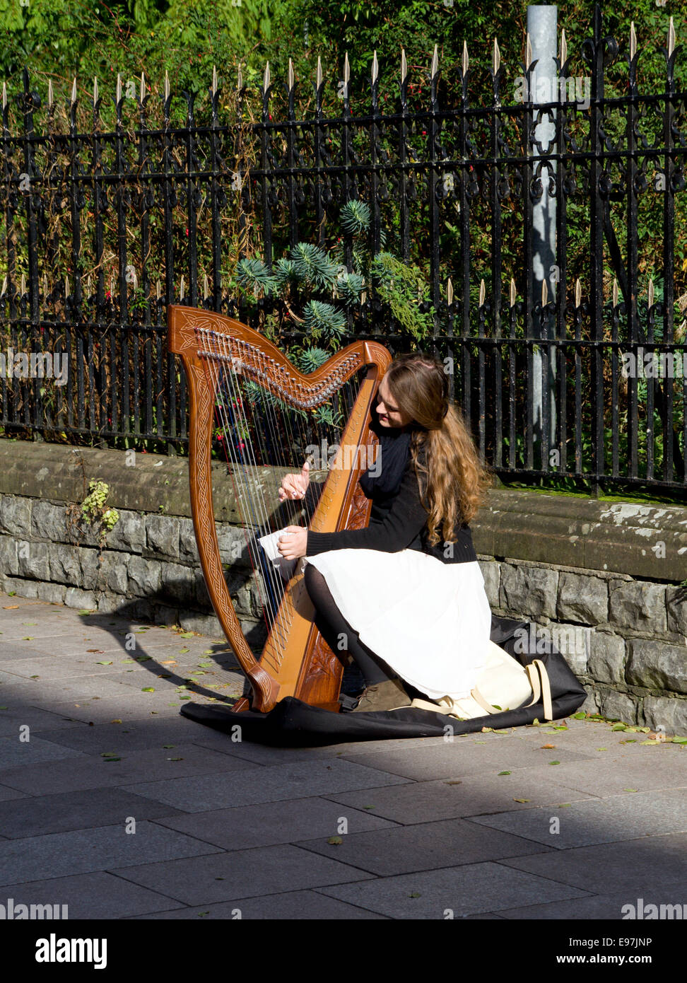 Traditional wales harp hi-res stock photography and images - Alamy