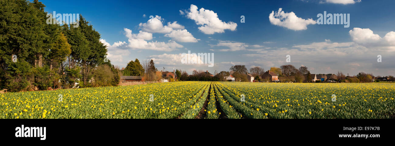 Spalding lincolnshire hi-res stock photography and images - Alamy