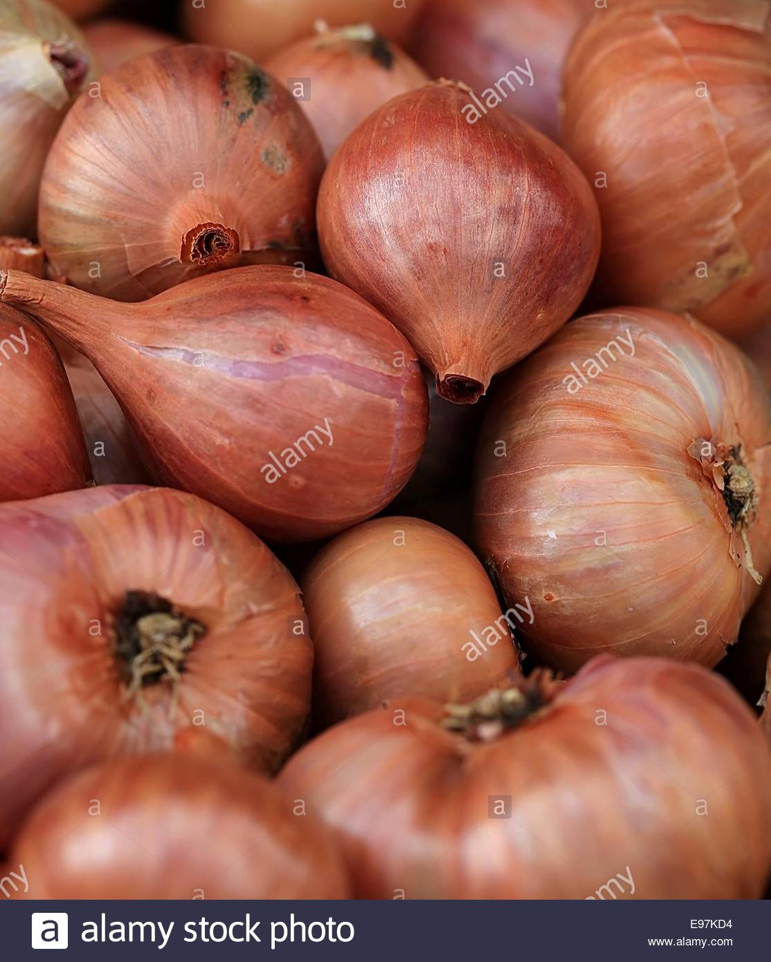 Shallots and scallions hi-res stock photography and images - Alamy