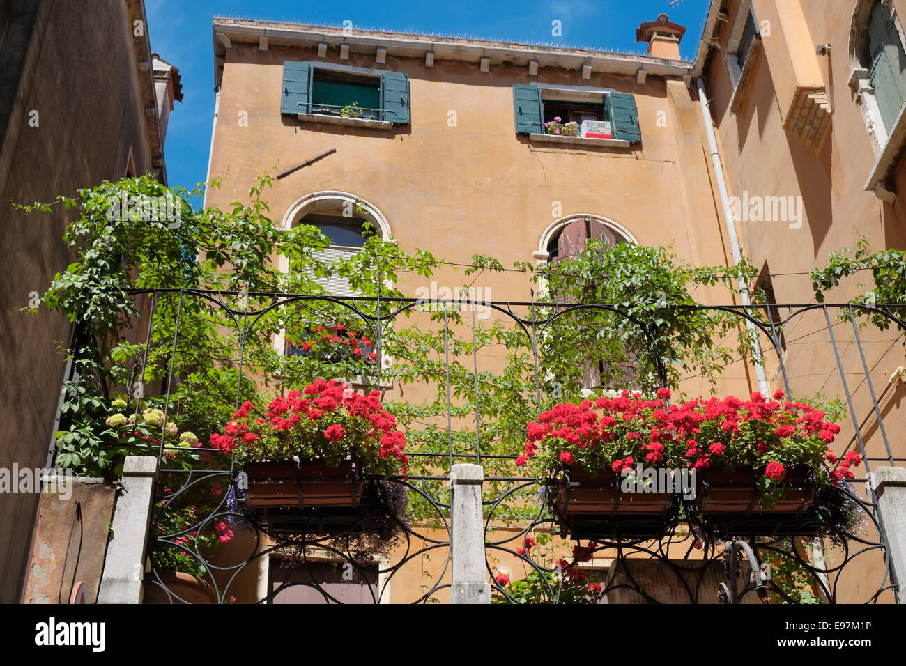 Colourful window boxes and climbing plants adorning a Venetian building ...