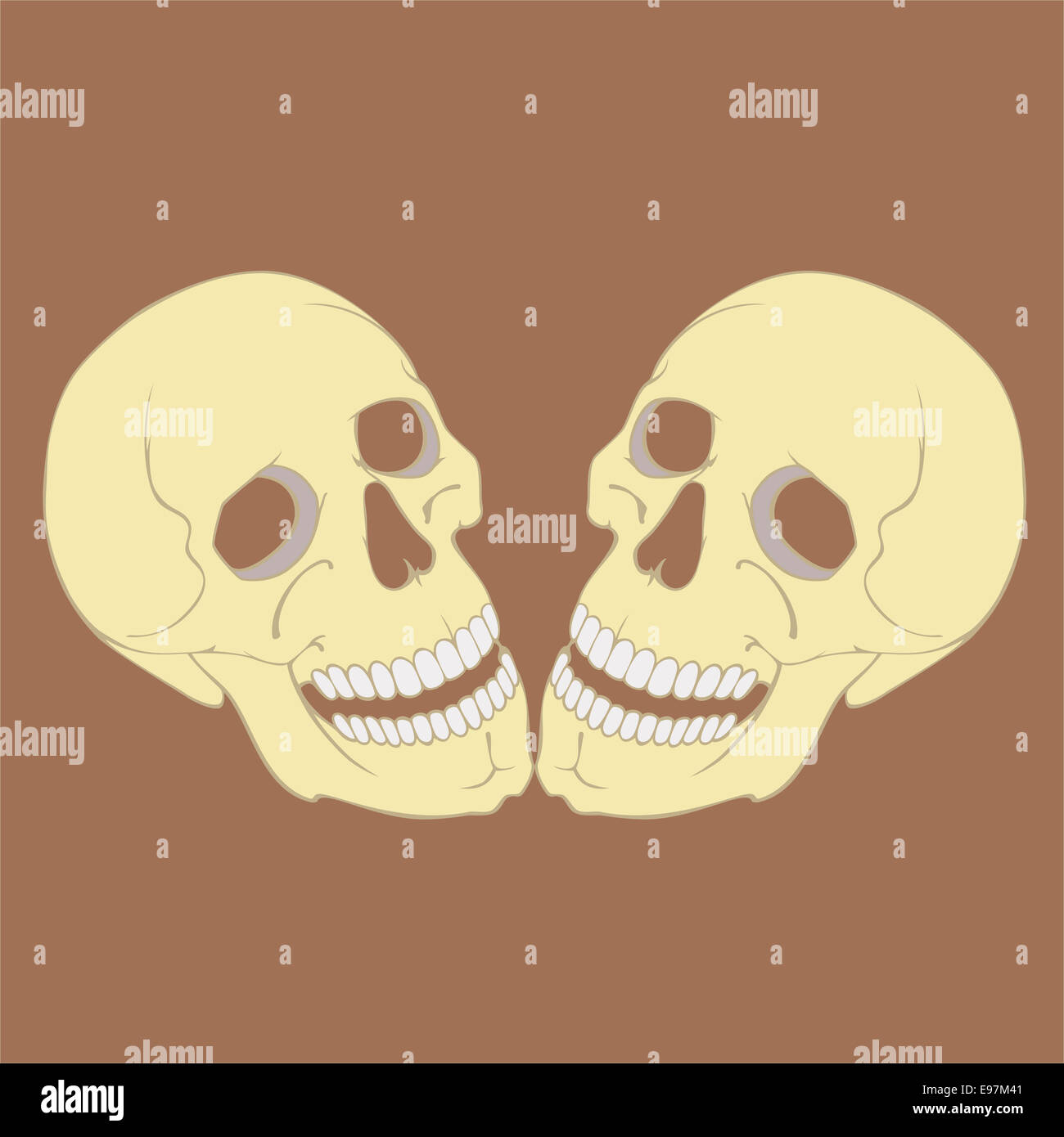 Scull bone hi-res stock photography and images - Alamy