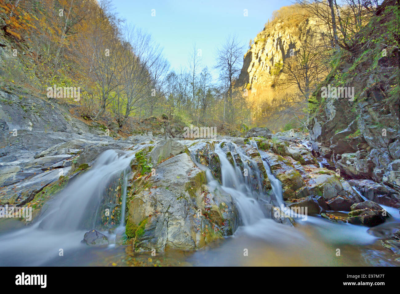 Waterfall in the forest Stock Photo - Alamy