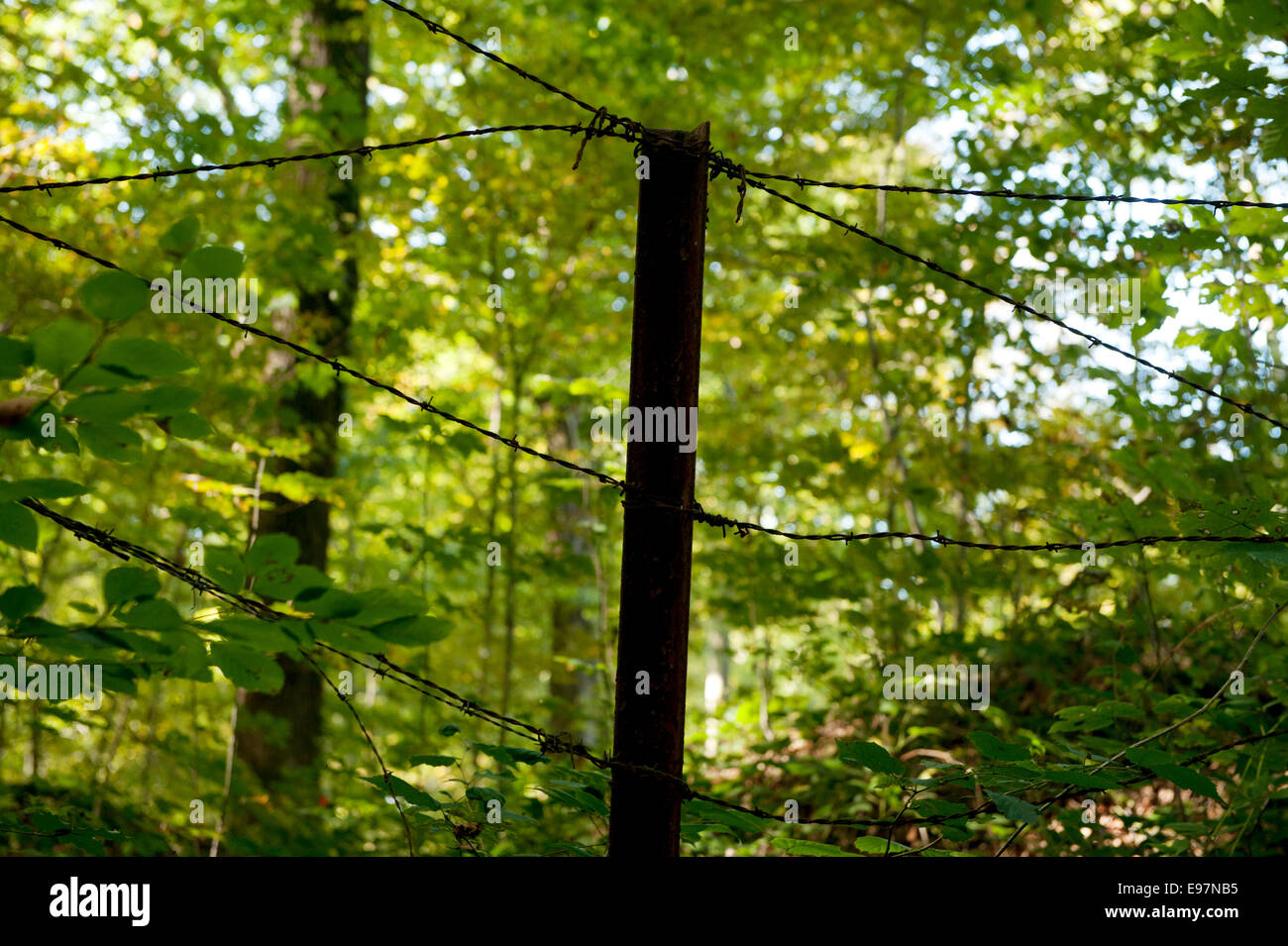 Argonne Forest WW1 Meuse-Argonne Battlefield site, France. Oct 2014 the ...