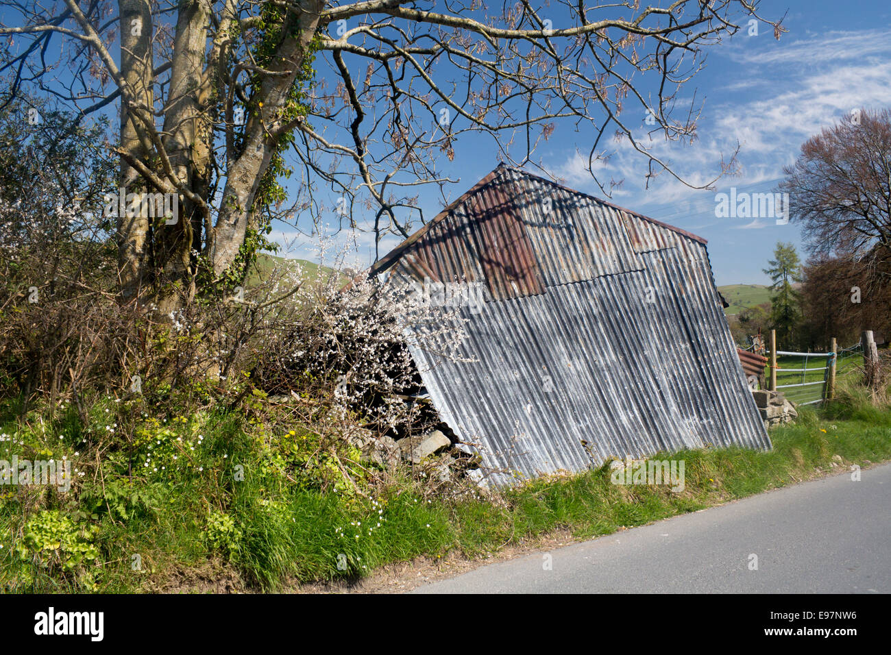 Collapsed derelict shed or farm outbuilding Near Tregaron Ceredigion ...