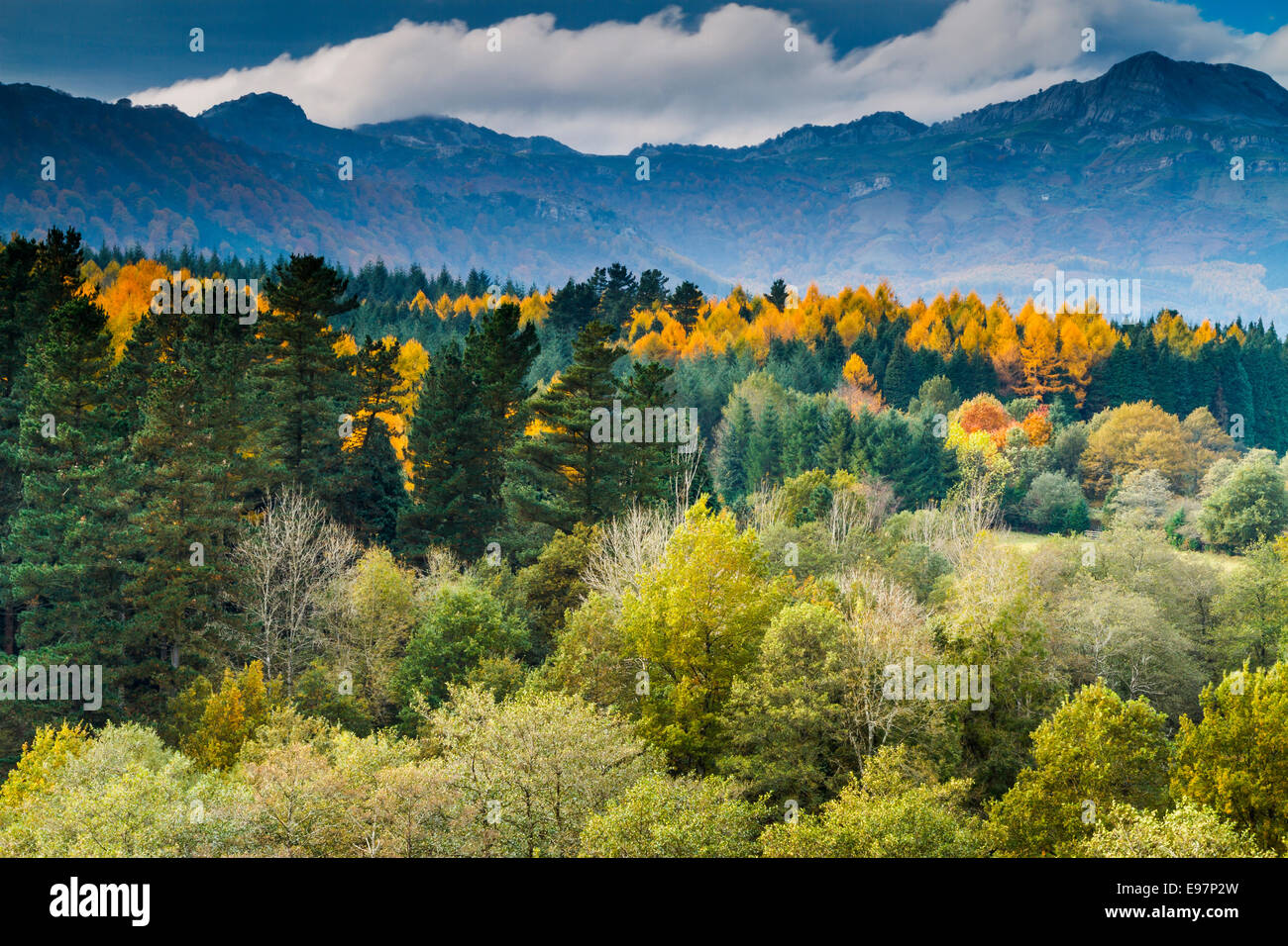 Gorbea natural park landscape hi-res stock photography and images - Alamy