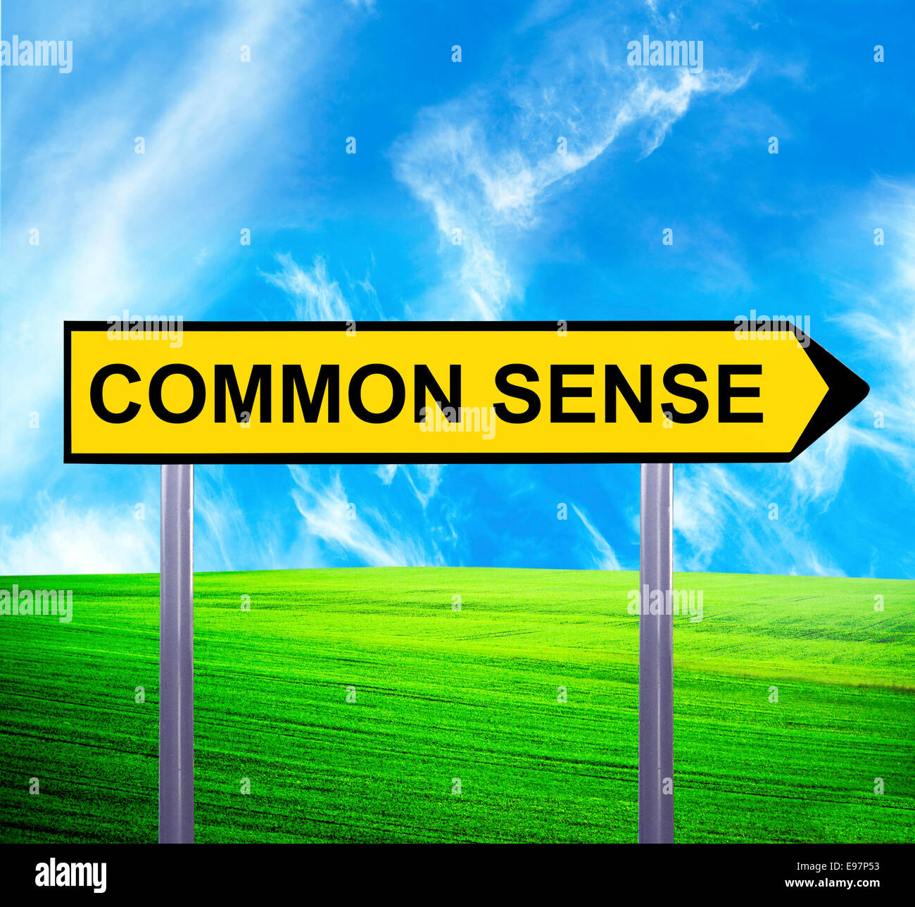 Conceptual arrow sign against beautiful landscape with text - COMMON ...