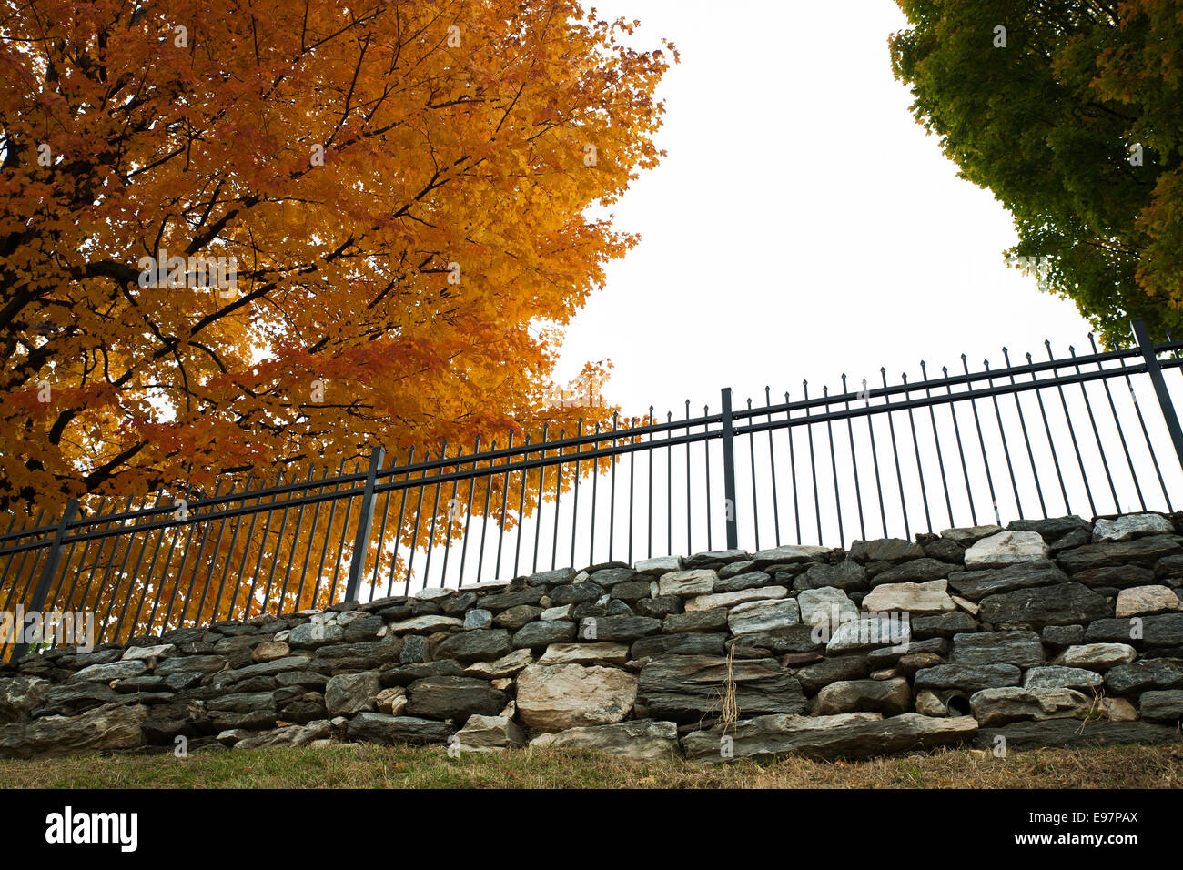 Trees tree fence fences fencing hi-res stock photography and images - Alamy