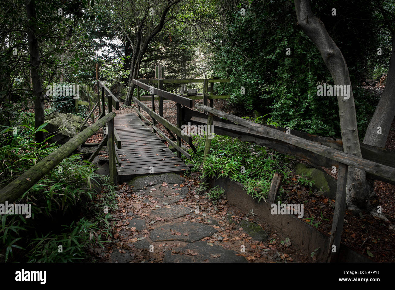 Warley Place in Essex. The garden of the home of horticulturalist Miss ...