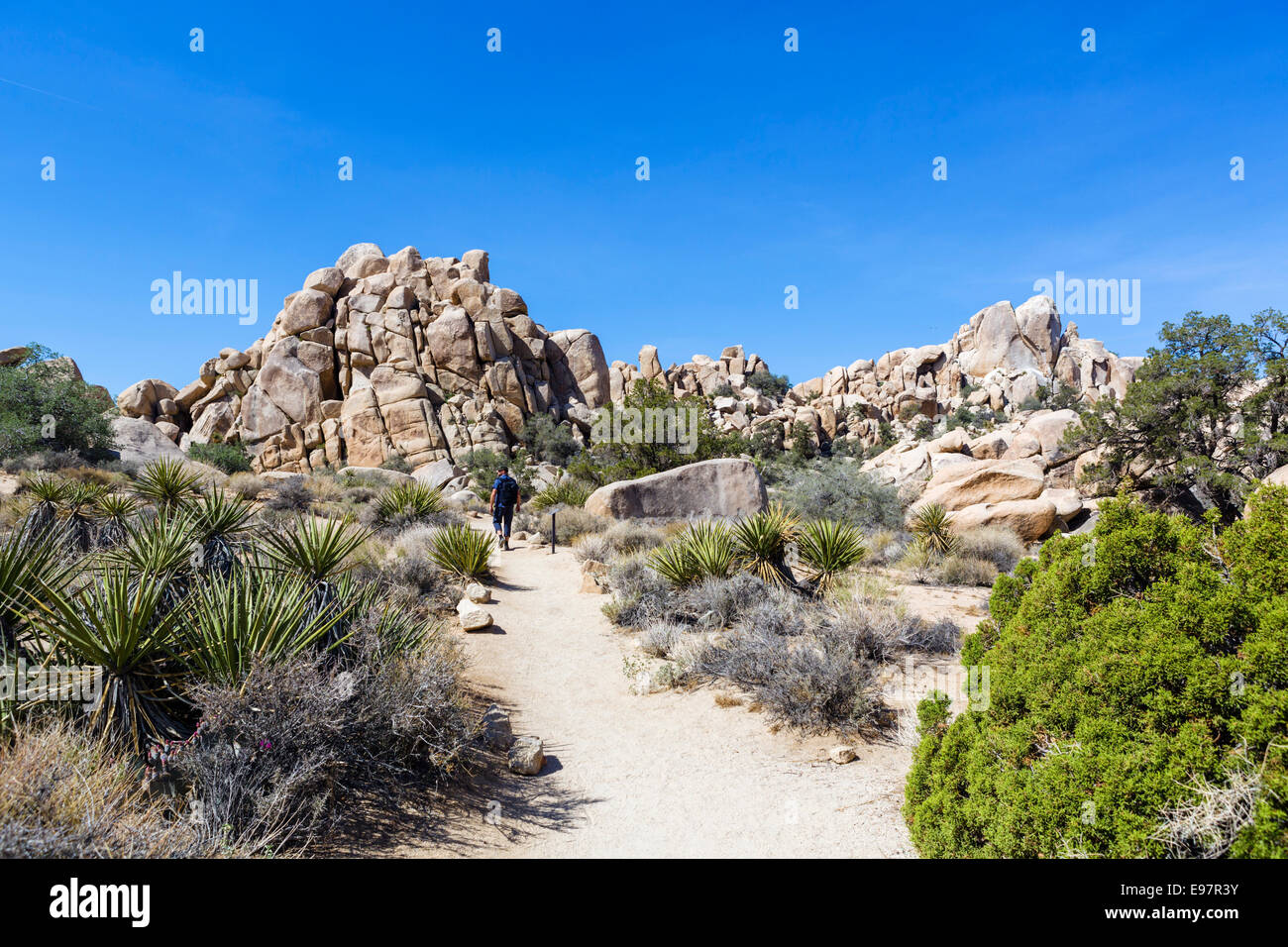 Cattle rustler hi-res stock photography and images - Alamy