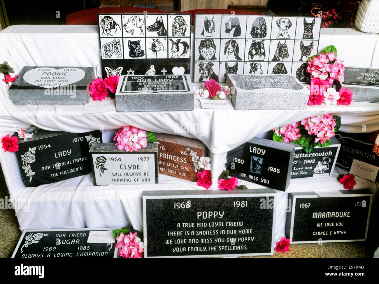 Pets cemetery hi-res stock photography and images - Alamy