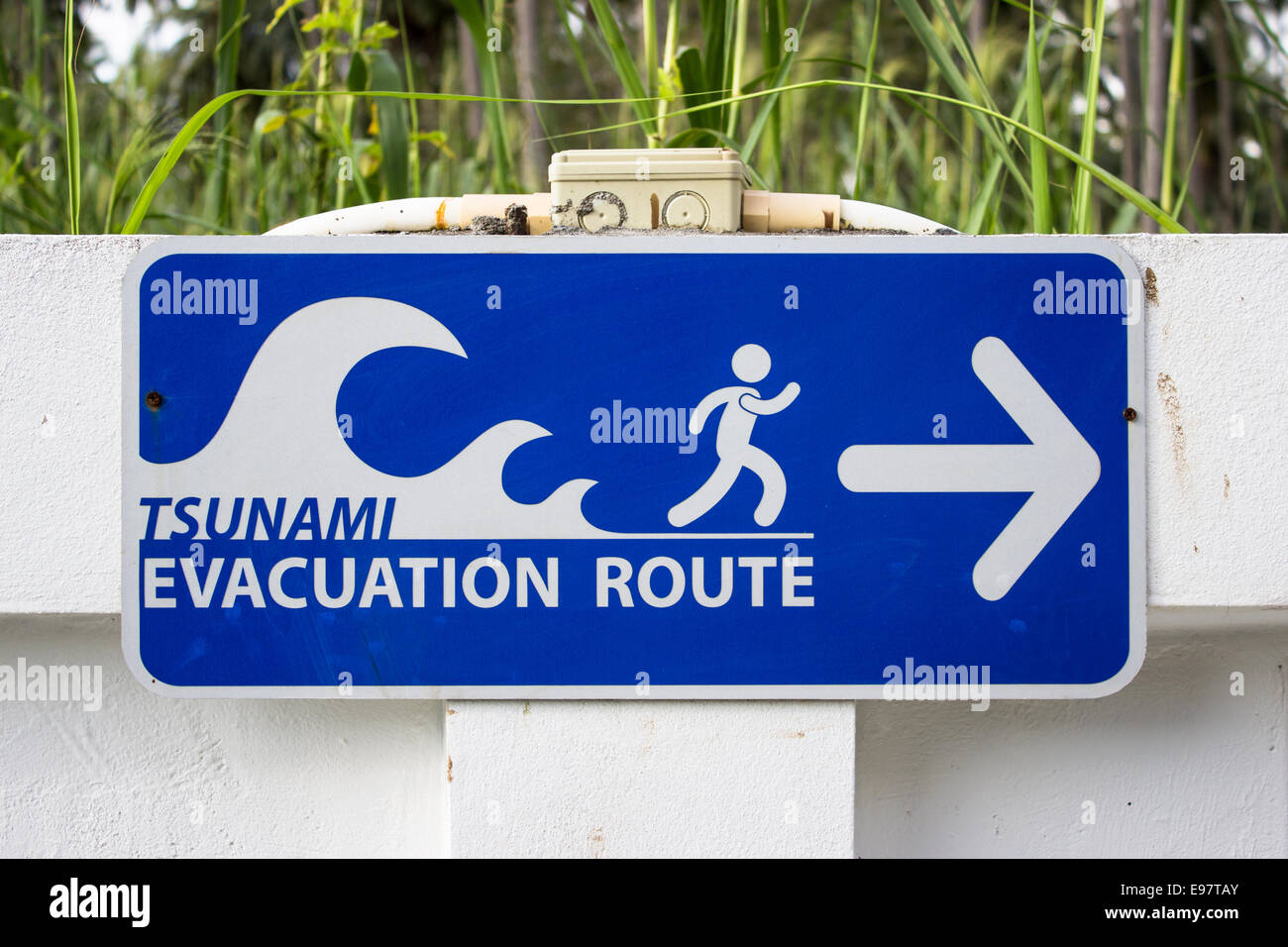 Tsunami rescue hi-res stock photography and images - Alamy