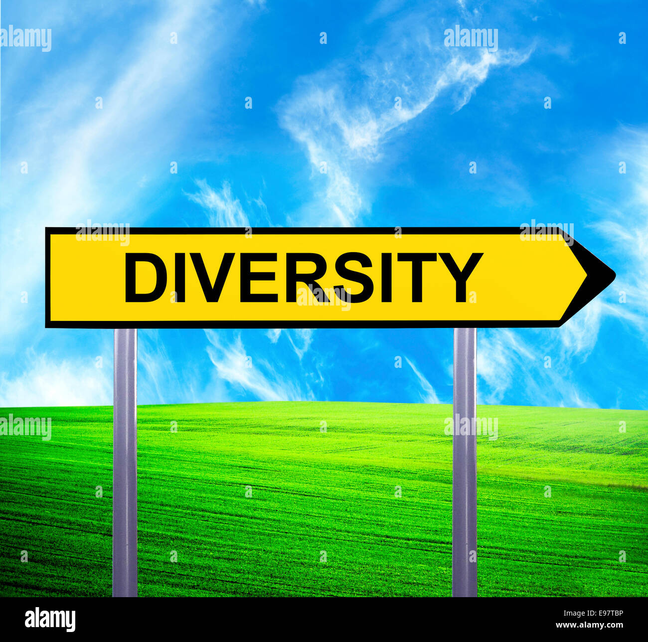 Conceptual arrow sign against beautiful landscape with text - DIVERSITY ...