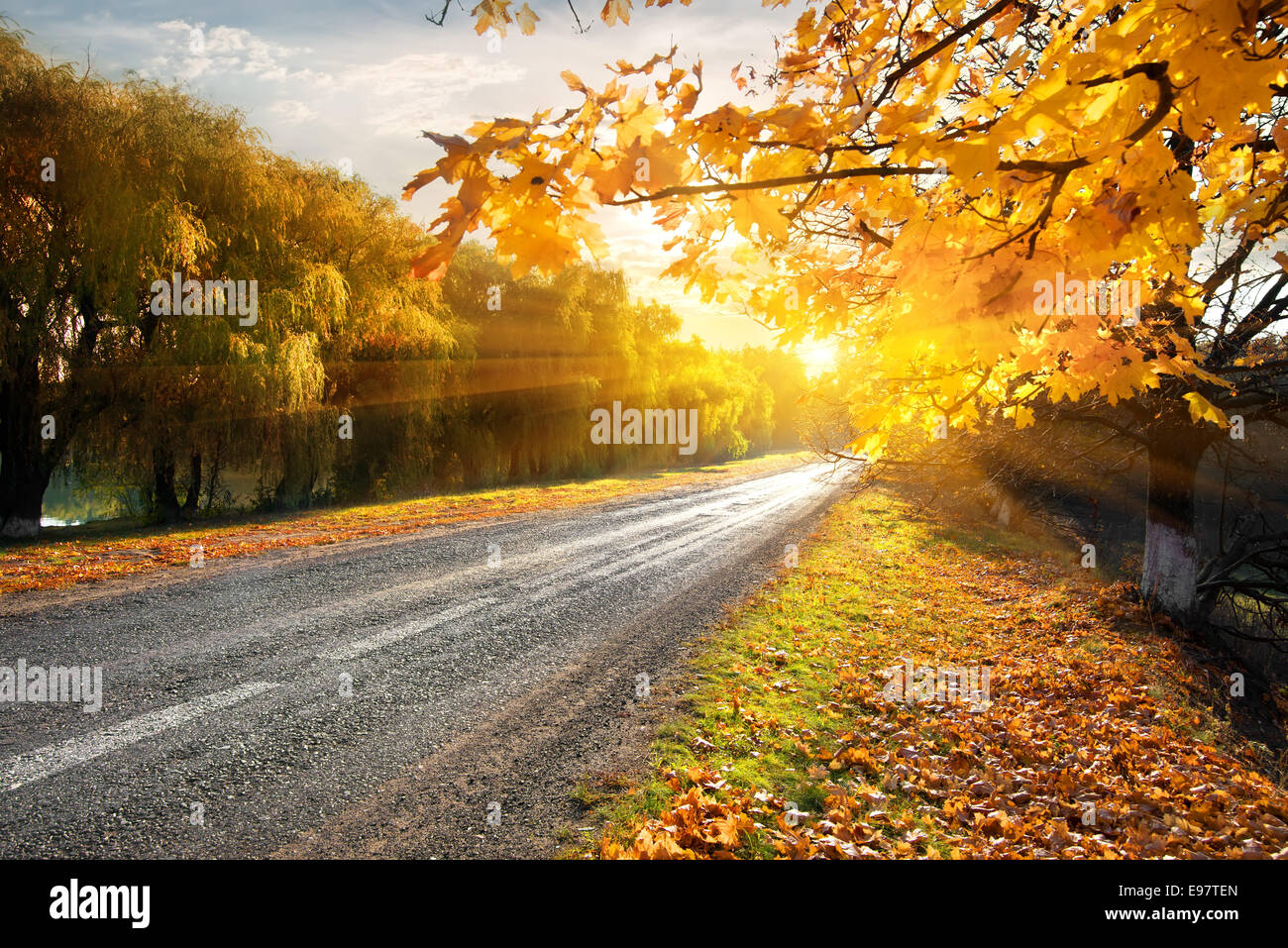 Highway through autumn forest hi-res stock photography and images - Alamy