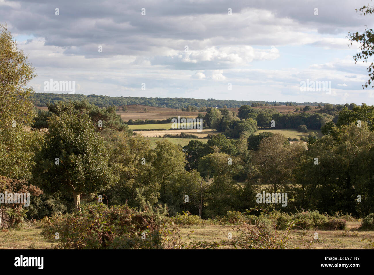 Fordingbridge hi-res stock photography and images - Alamy