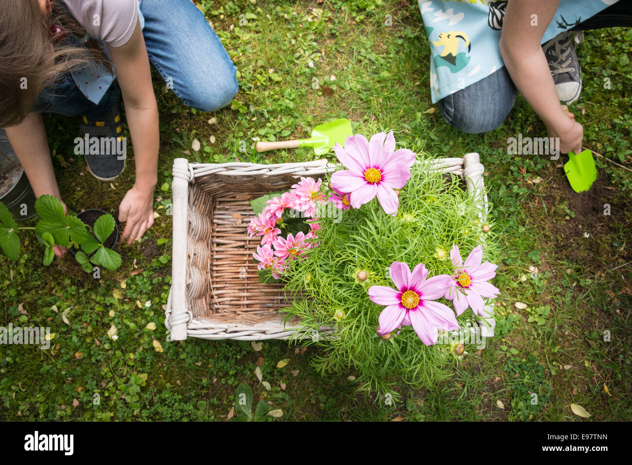 Two girls with flowers in a basket planting together Stock Photo - Alamy