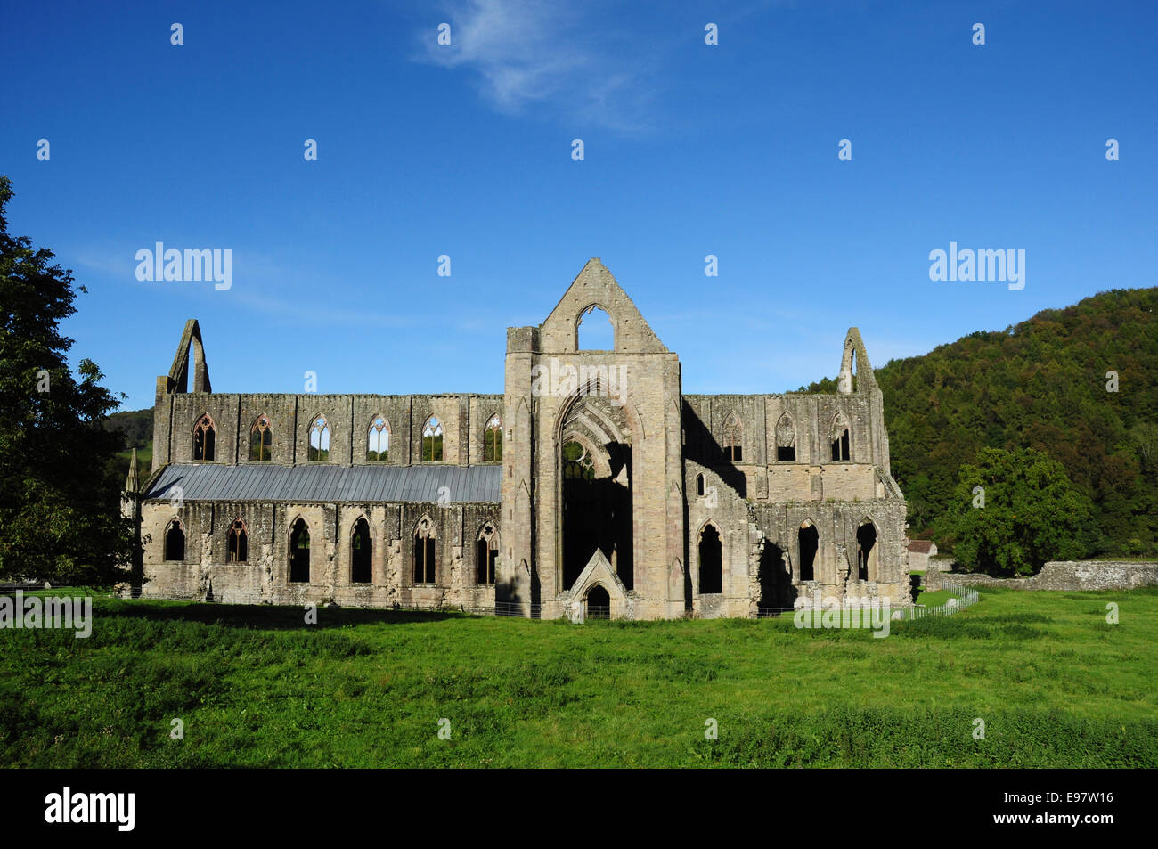 Tintern Abbey (ruins of Cistercian Abbey), Tintern, Monmouthshire ...