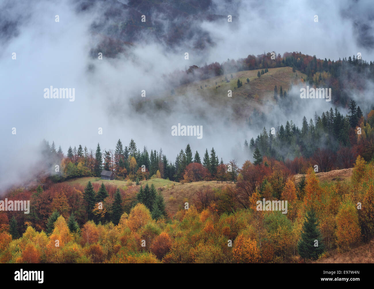 Willage hi-res stock photography and images - Alamy