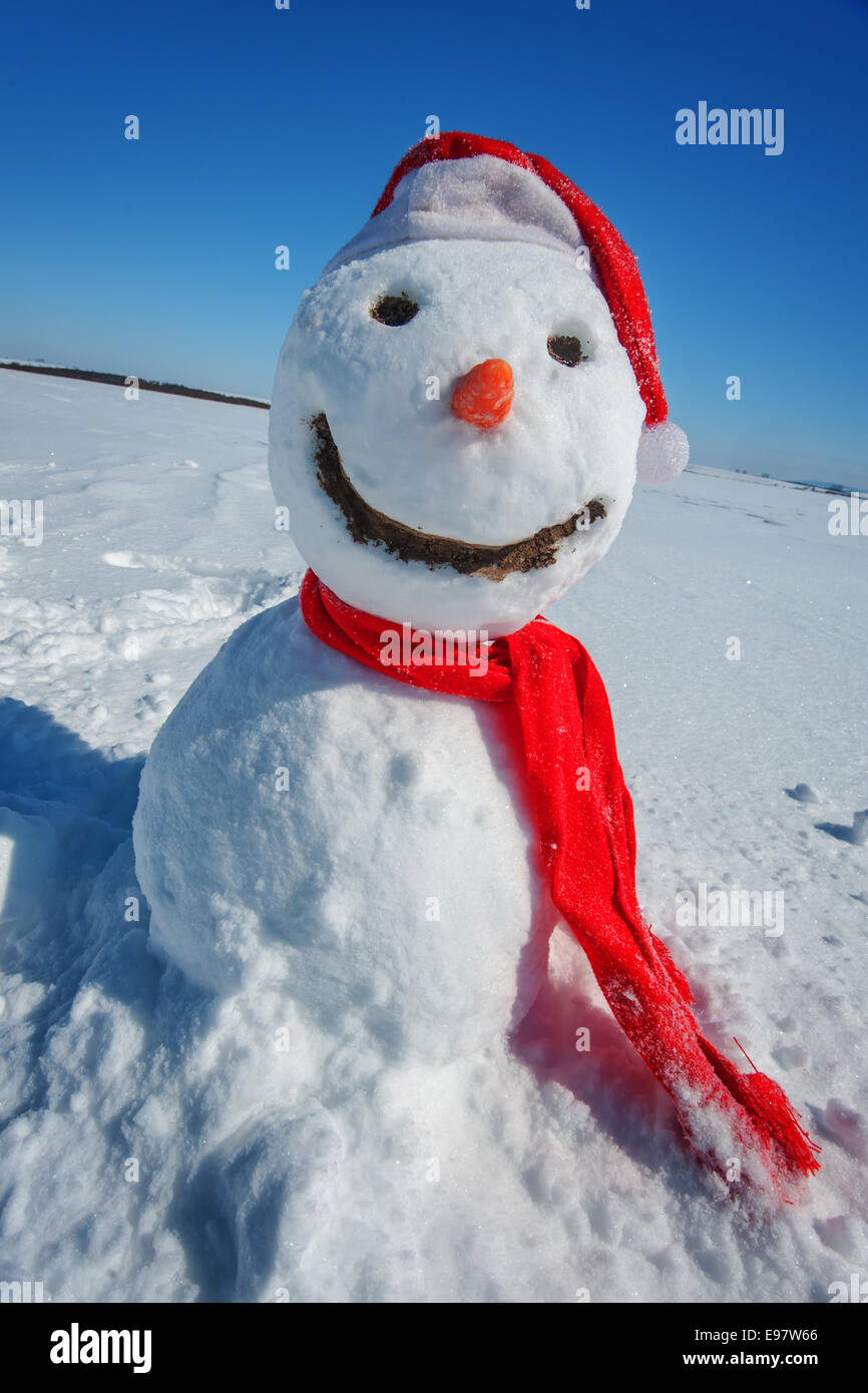 snowman look in sky and wait spring Stock Photo - Alamy