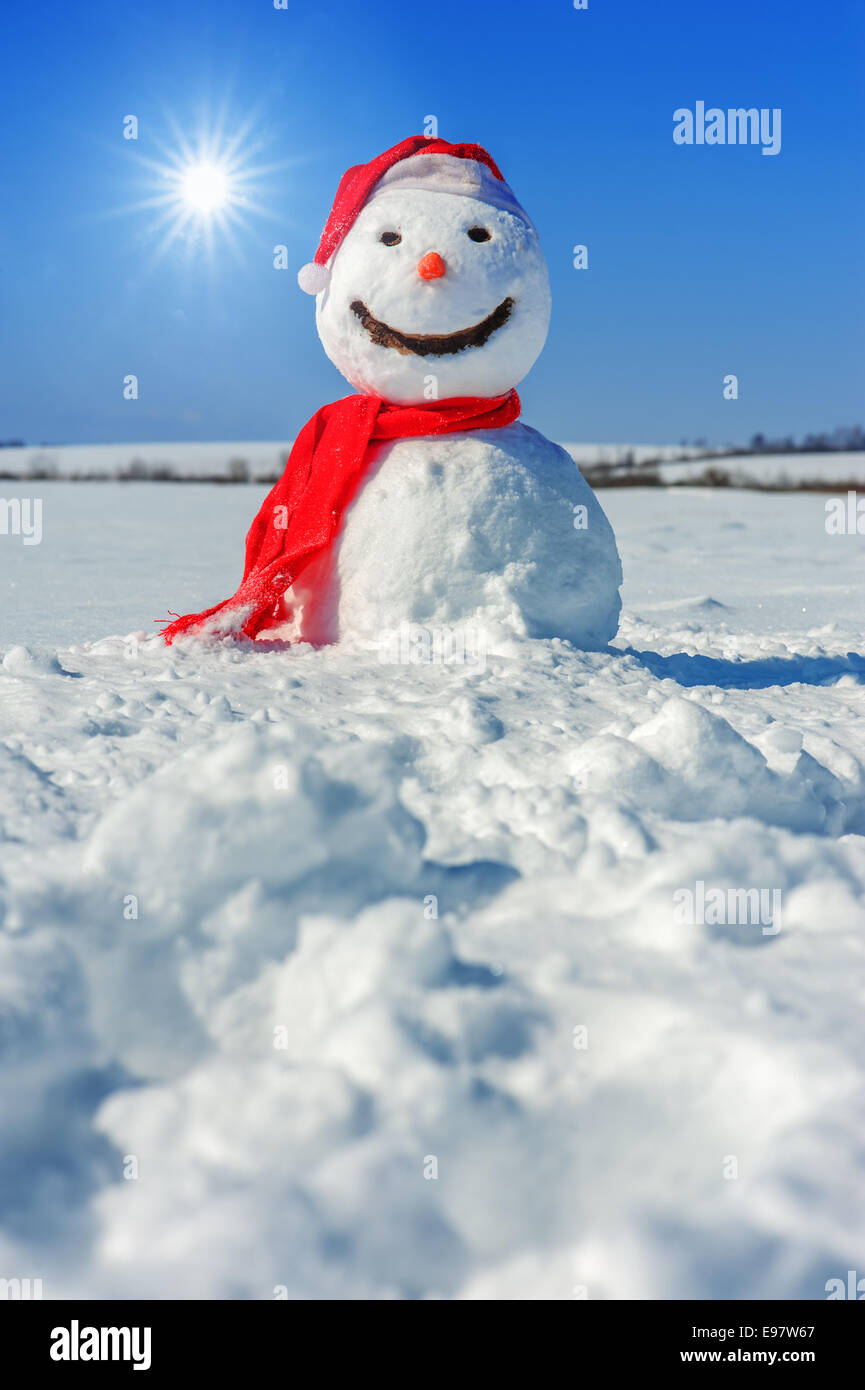 snowman look in sky and wait spring Stock Photo - Alamy