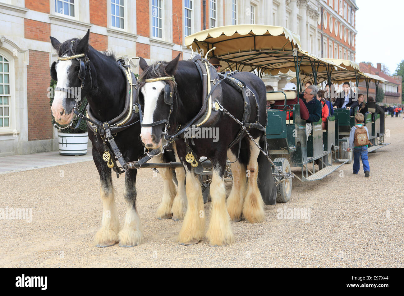 Horse drawn carriage for tourists in the gardens of Hampton Court ...