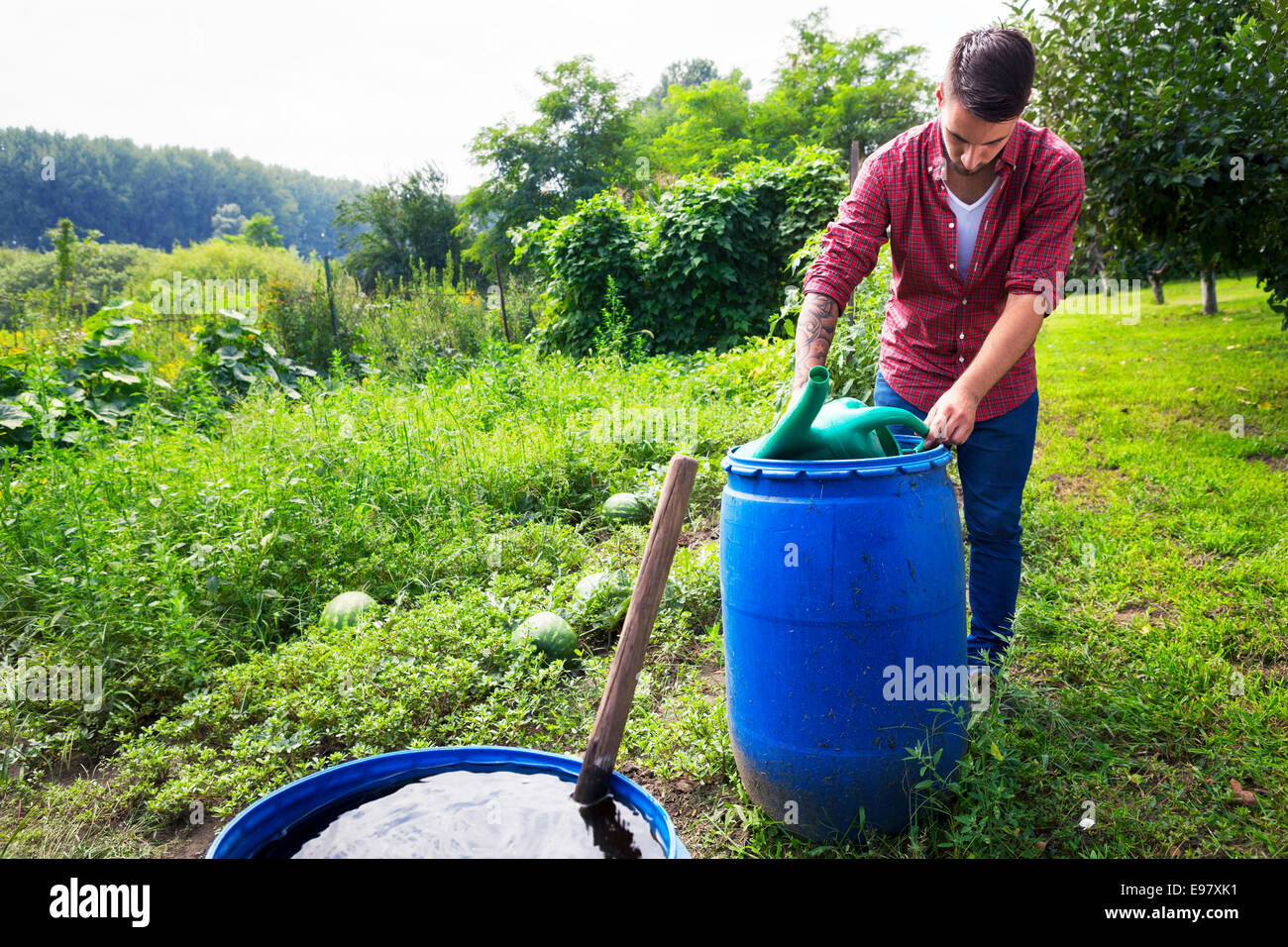 Young man filling watering can at barrel Stock Photo - Alamy