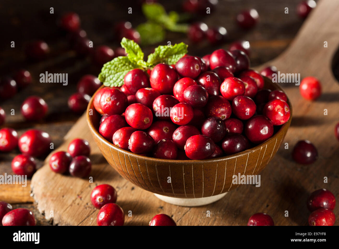 Cranberries in nature hi-res stock photography and images - Alamy