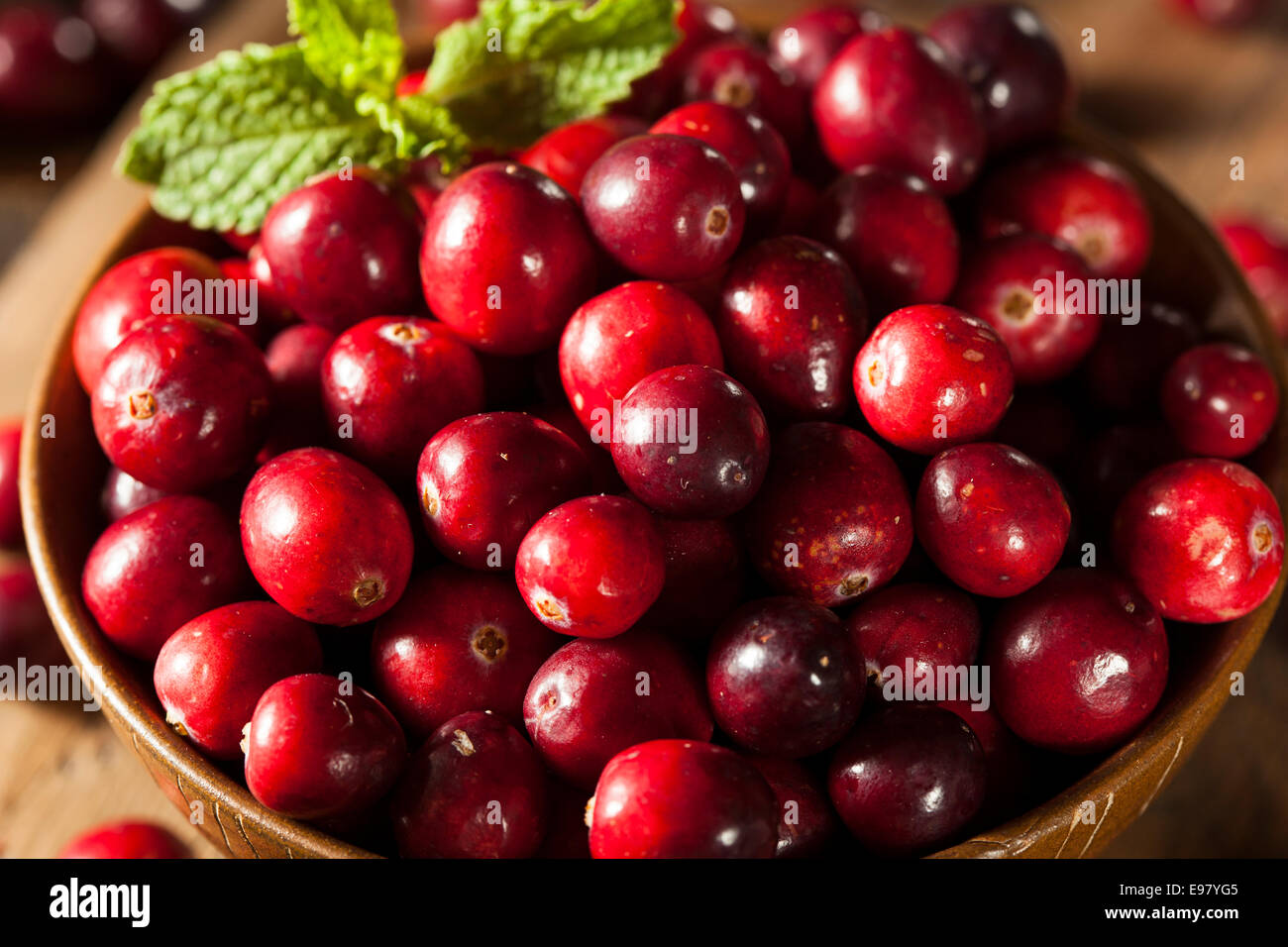 Raw Organic Red Cranberries in a Bowl Stock Photo - Alamy