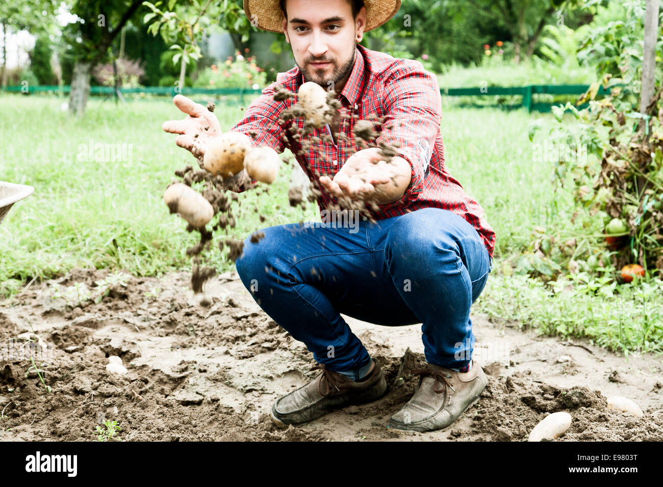 Throwing harvesting hi-res stock photography and images - Alamy