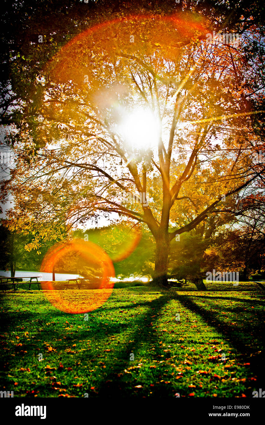 Sun ray circle hi-res stock photography and images - Alamy