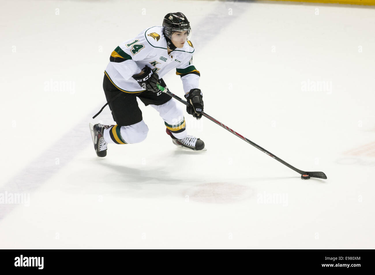 October 17, 2014. London Knights defensman Brandon Crawley (14) carries ...
