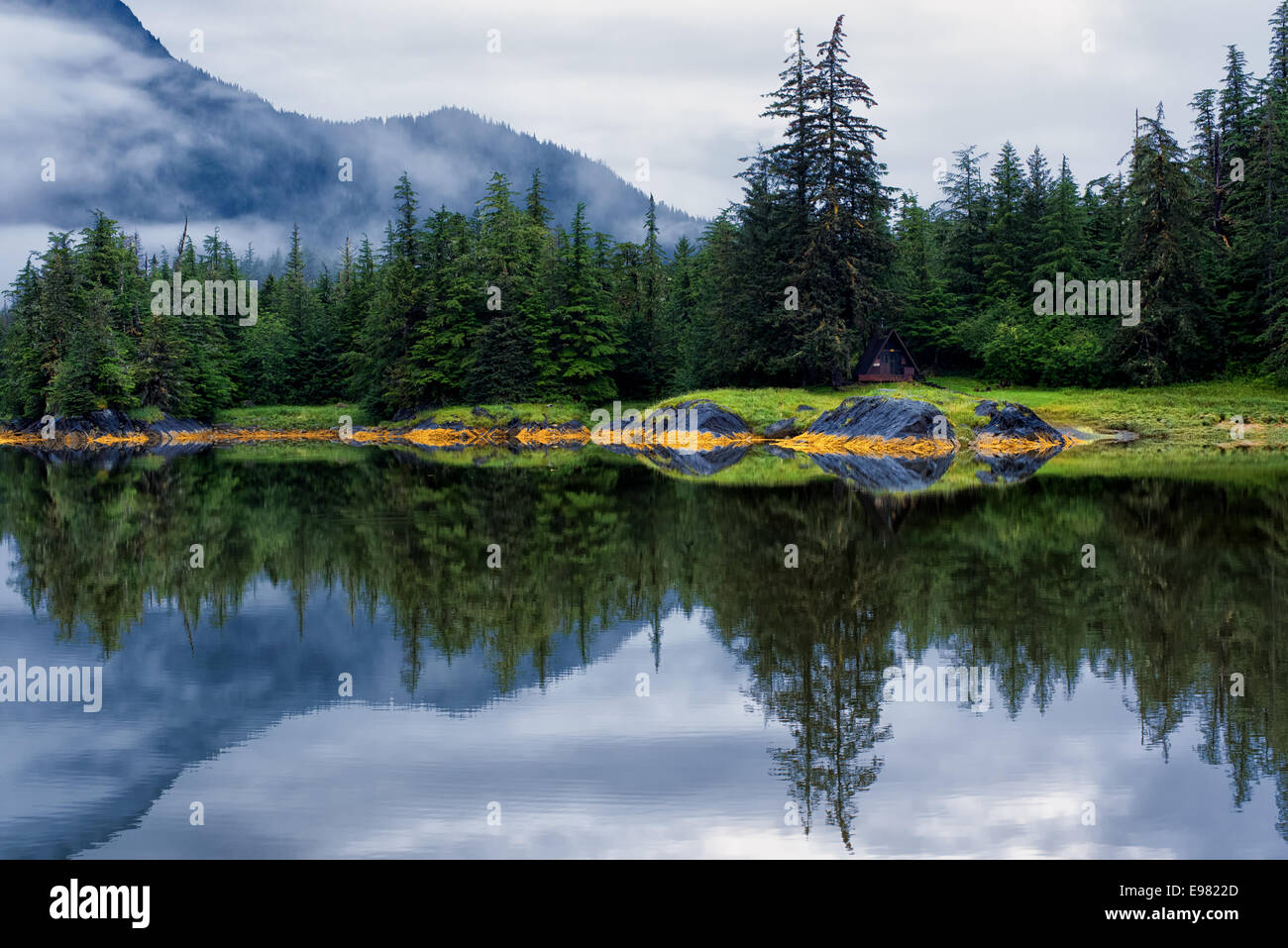 Reflection of the intertidal zone at Berg Bay on the Inside Passage ...
