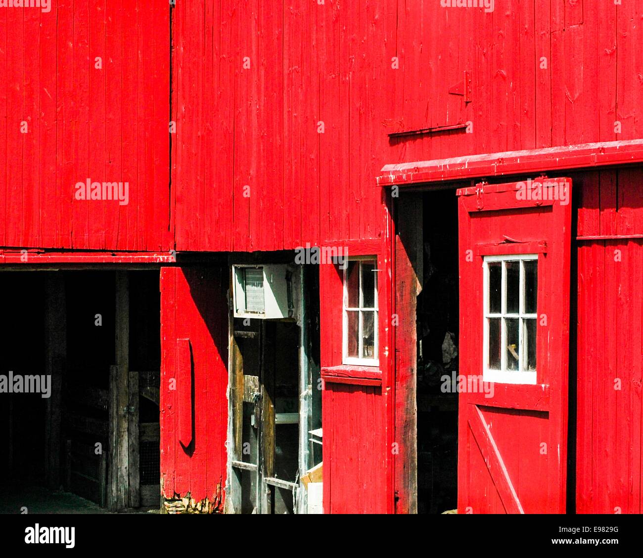 View of a freshly painted bright red barn with open doors on a cow farm ...