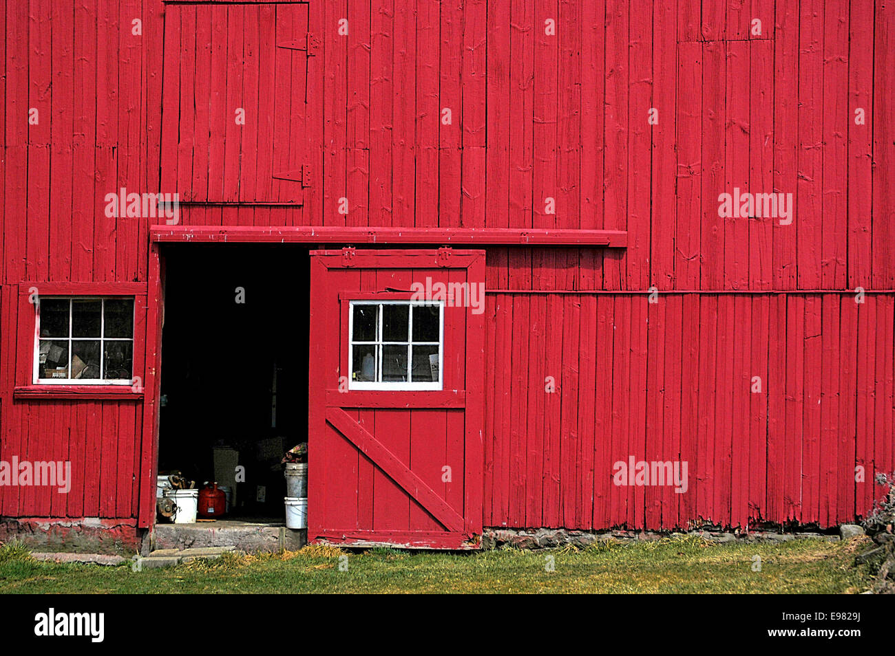View of a freshly painted bright red barn on a cow farm with bright ...